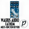 Walrus Audio Fathom Multi-Function Reverb - Pedal of the Day